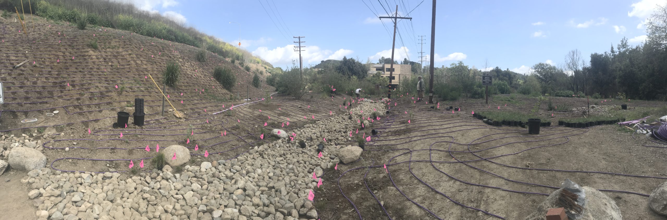 Update: Highway 101 Wildlife Crossing Habitat Restoration - RCDSMM